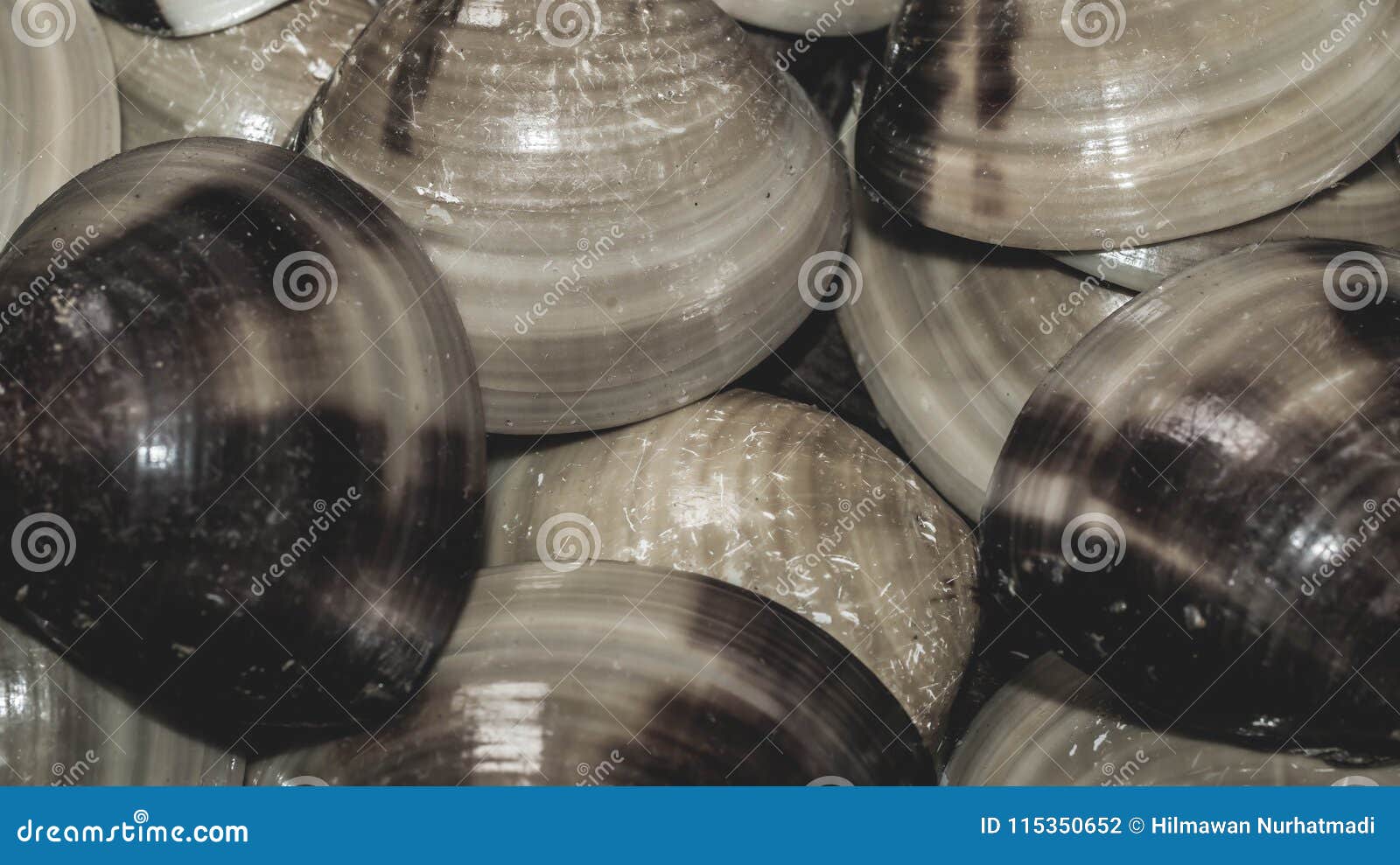 Stack of sea shells stock photo. Image of culinary, brown - 115350652