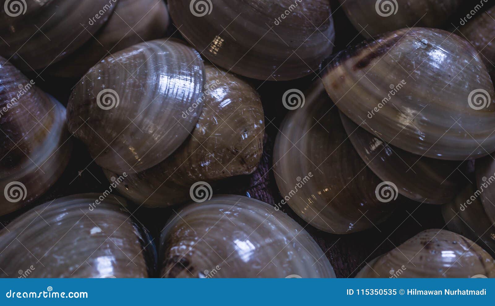 Stack of sea shells stock image. Image of delicious - 115350535