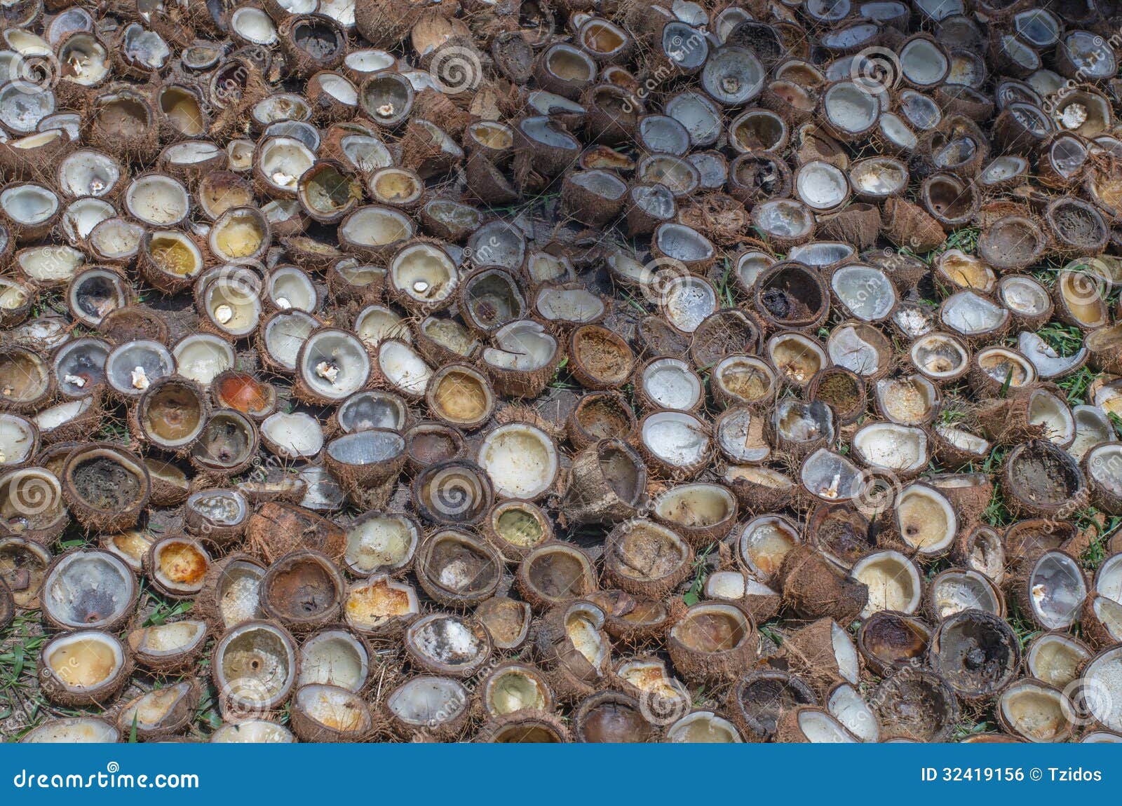 Stack Shell of the Coconut, Dry Out for Coconut Oil Industry Stock ...