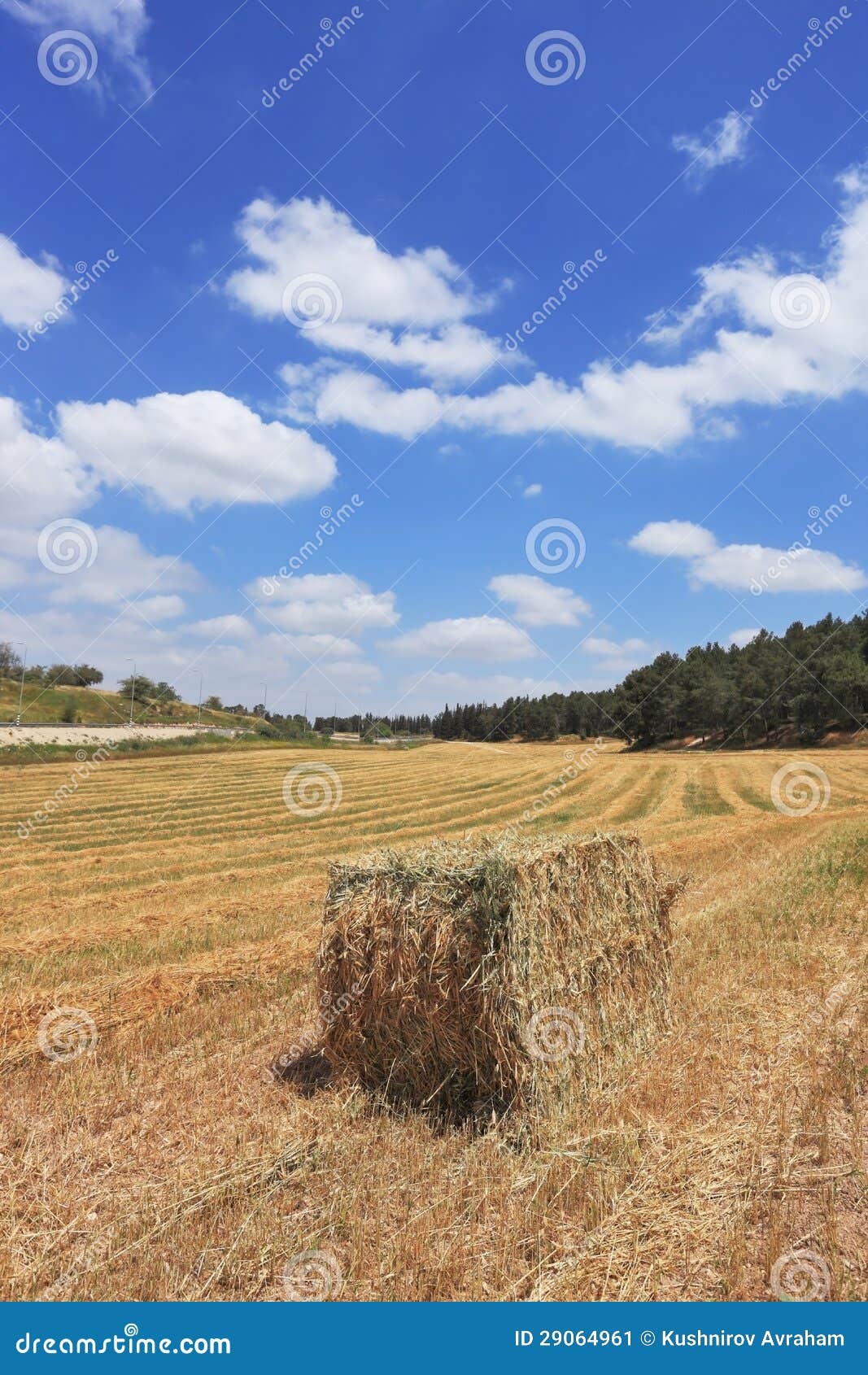 A stack of slanted wheat stock image. Image of cereal - 29064961
