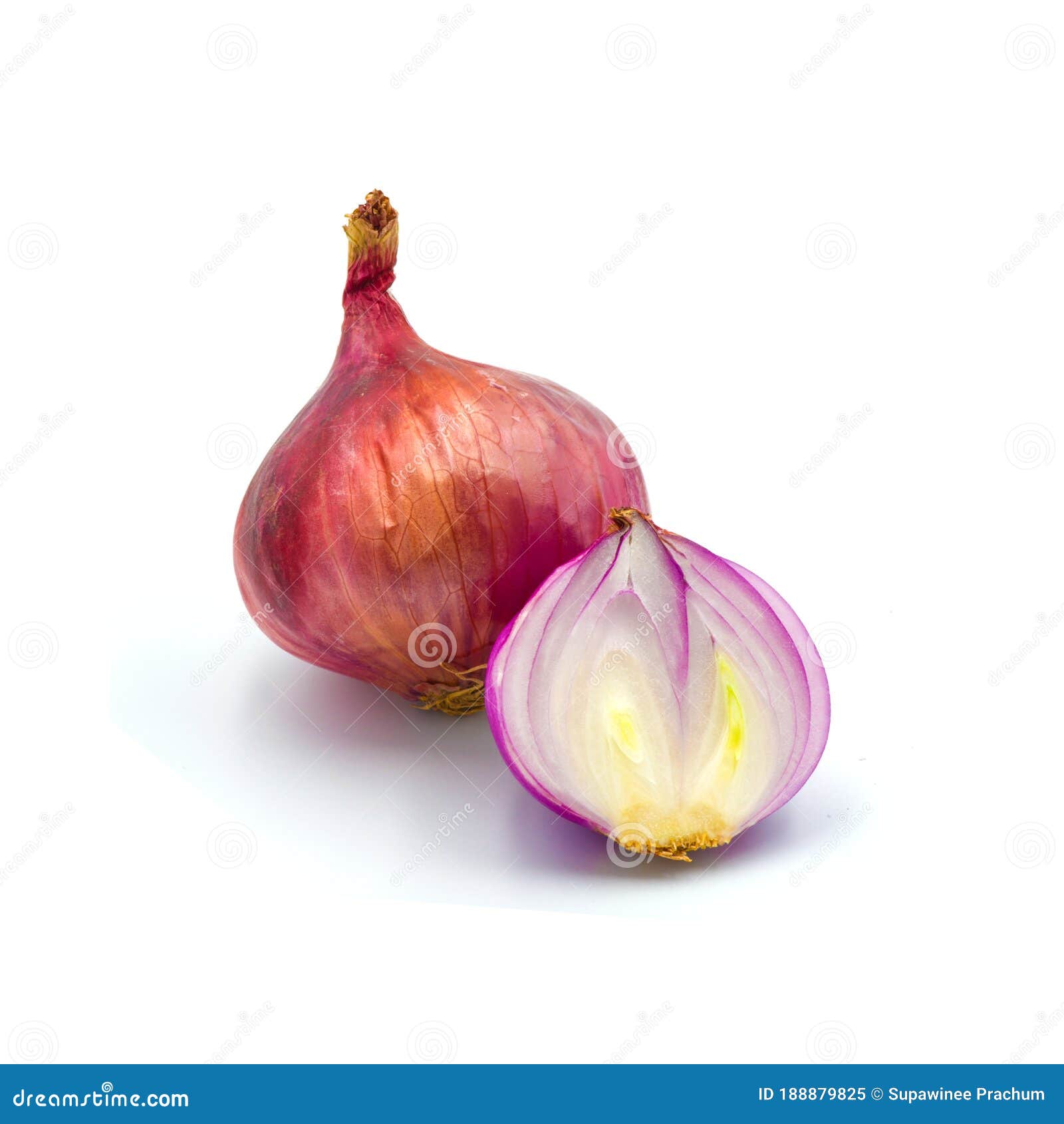 Stack Slice Fresh Onion Red Isolated on the White Background Stock ...