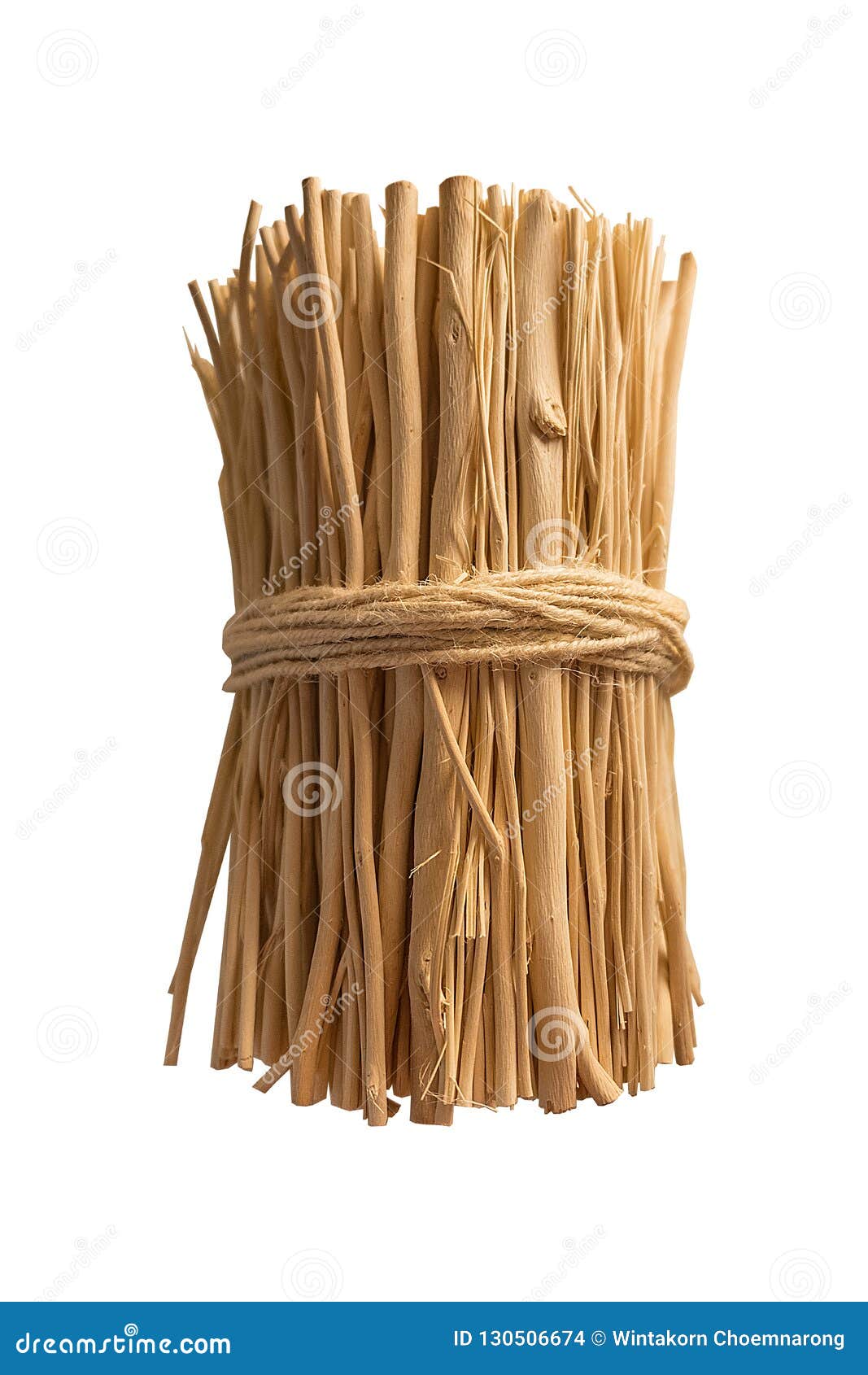 Stack of Small Branches Tied with a Rope Lies Isolated on White Stock ...