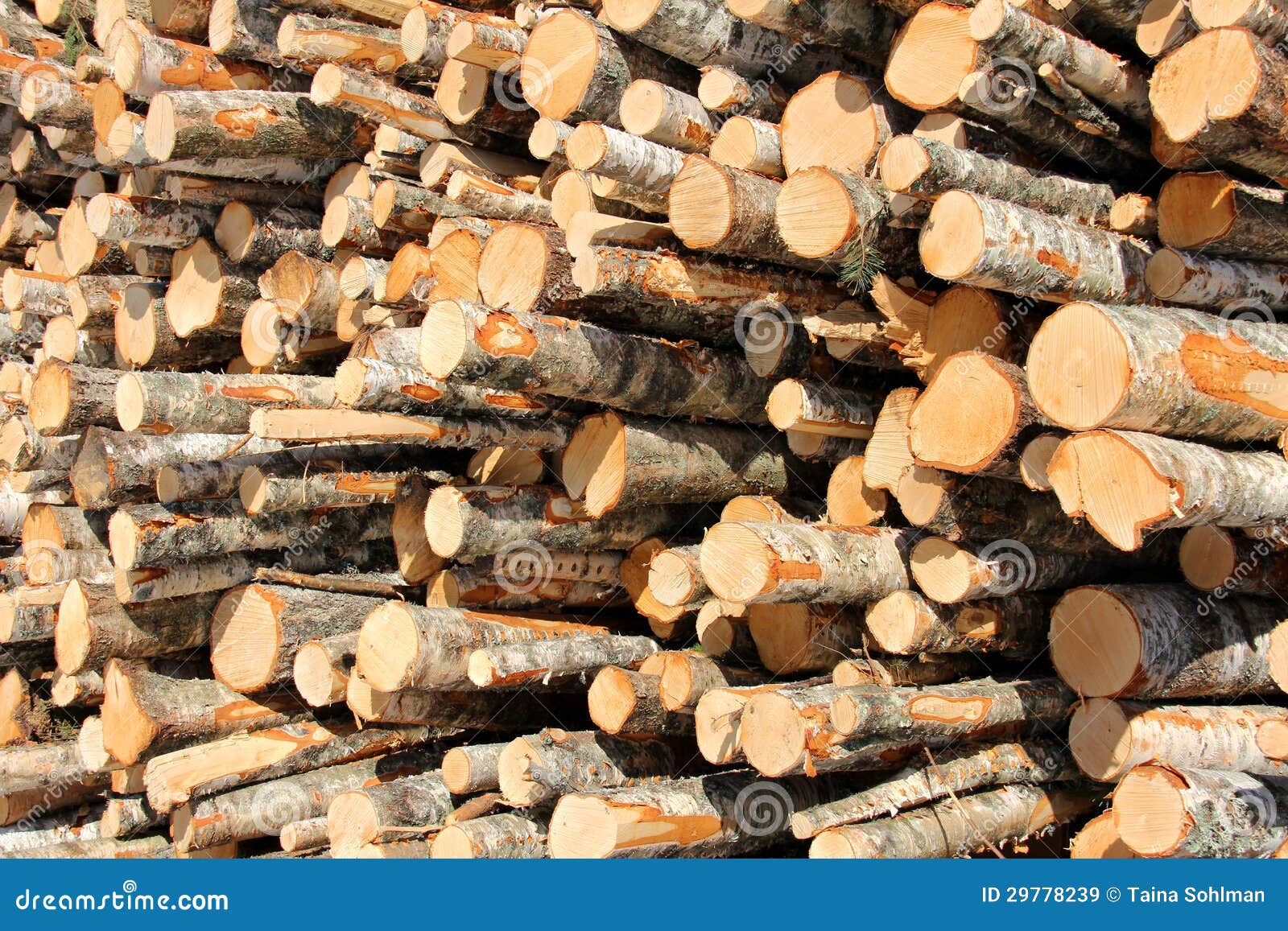 Stack of Logs Detail stock image. Image of lumber, felled - 29778239