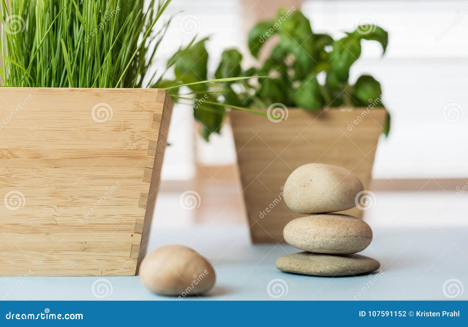 Stack of Smooth Stones and Wheatgrass Plant in Bamboo Planter Stock ...
