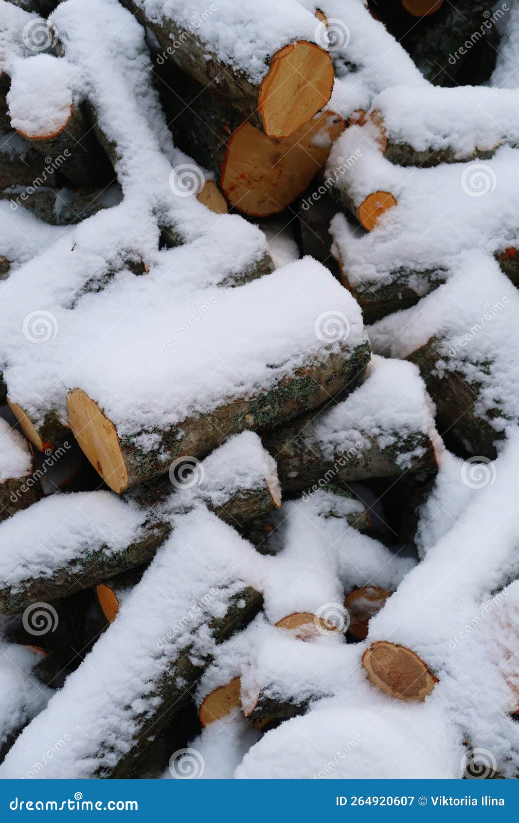 Stack of Snow-covered Firewood in Winter Vertical Photo Stock Image ...