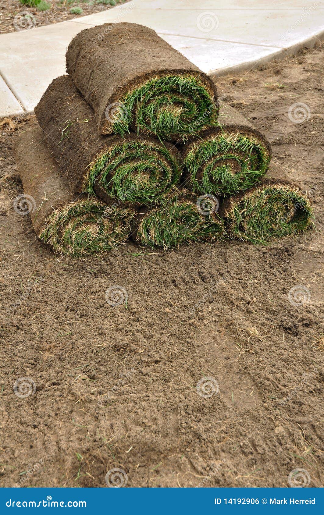 Stack of Sod Rolls stock photo. Image of stack, stacked - 14192906
