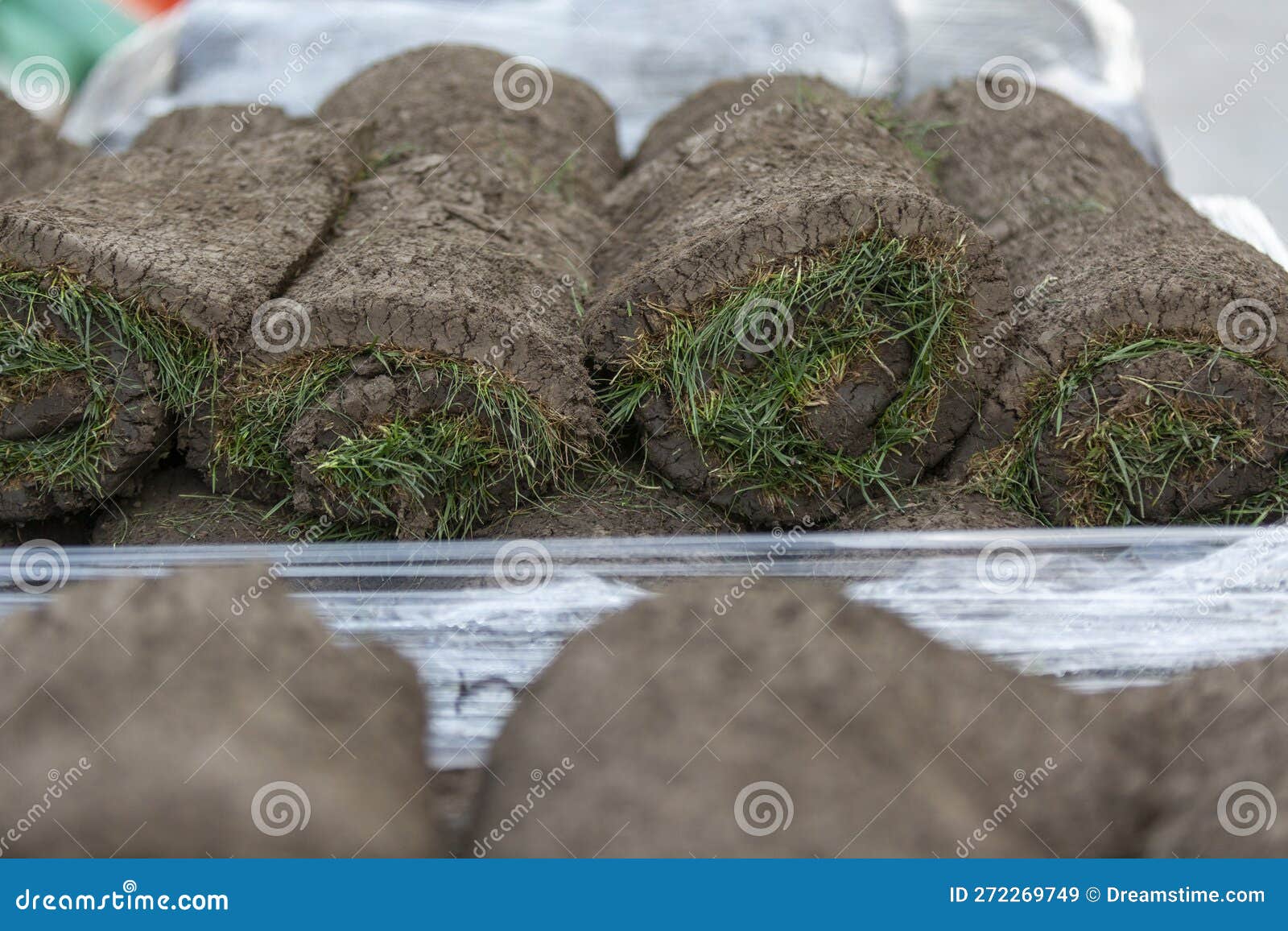 Stack of Sod Rolls for New Lawn Stock Image - Image of house, pallets ...