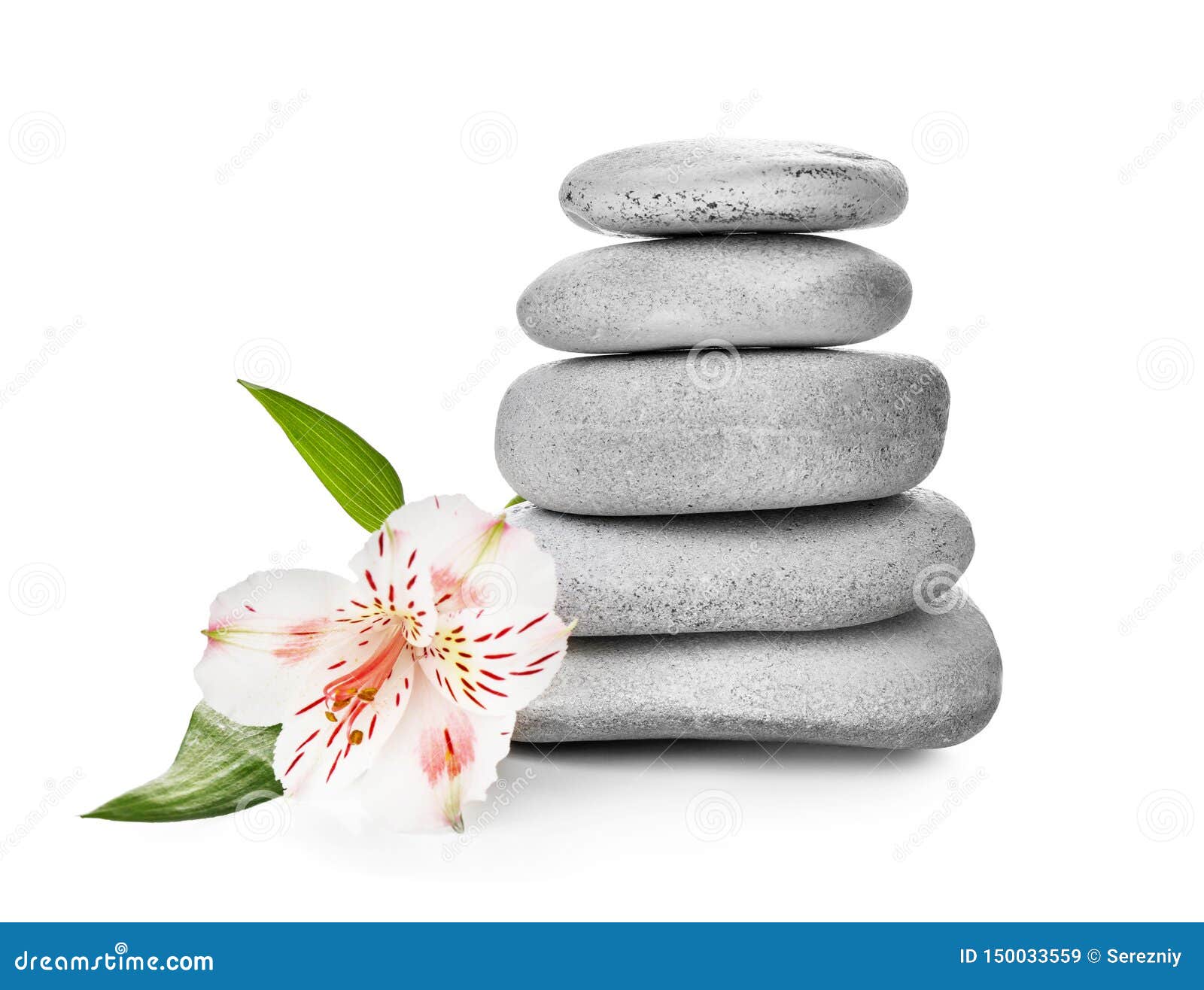 Stack of Spa Stones and Beautiful Flower on White Background Stock ...