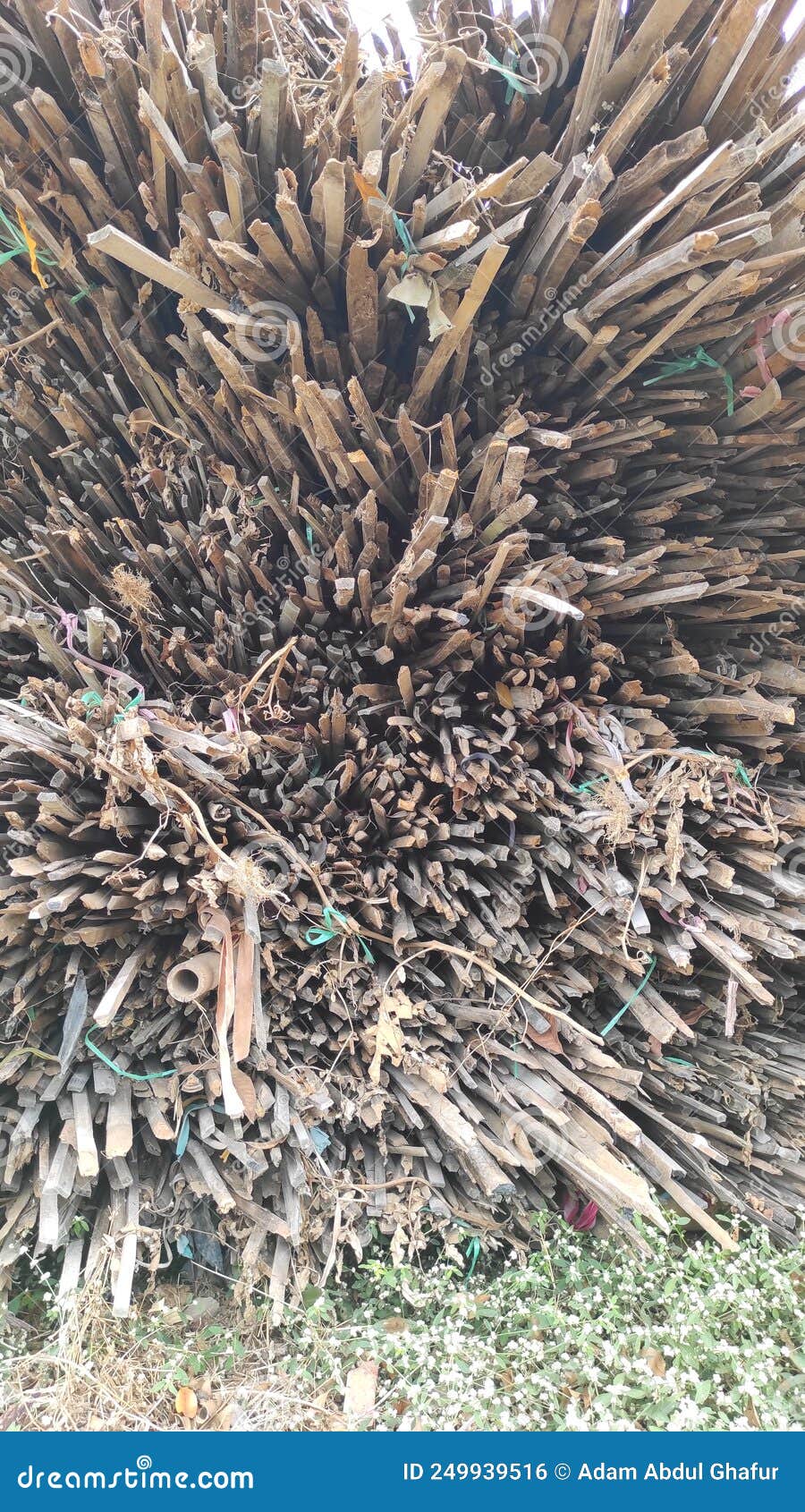 Stack of Split Bamboo - Stock Photo Stock Photo - Image of branch ...