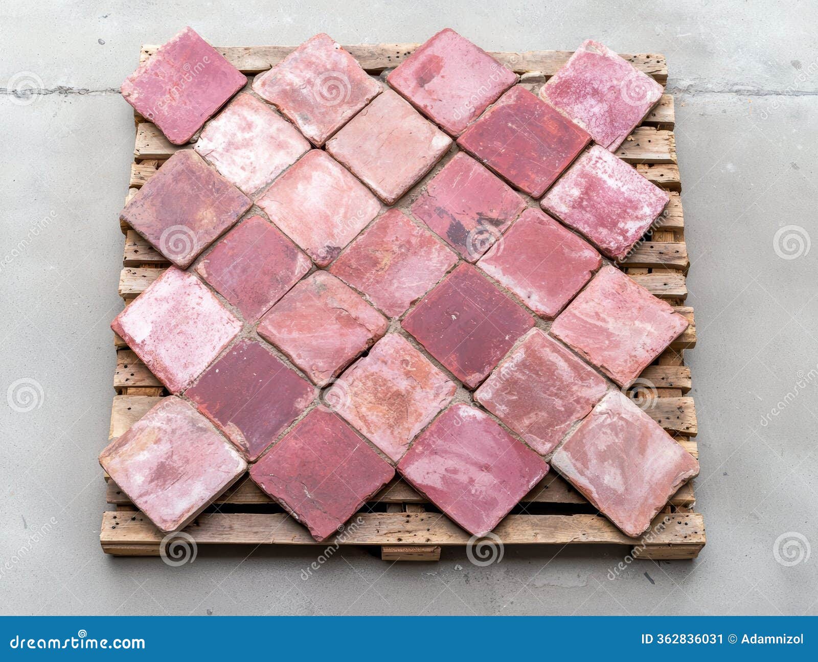 Square Terracotta Planter, Floral Design Cartoon Vector | CartoonDealer ...