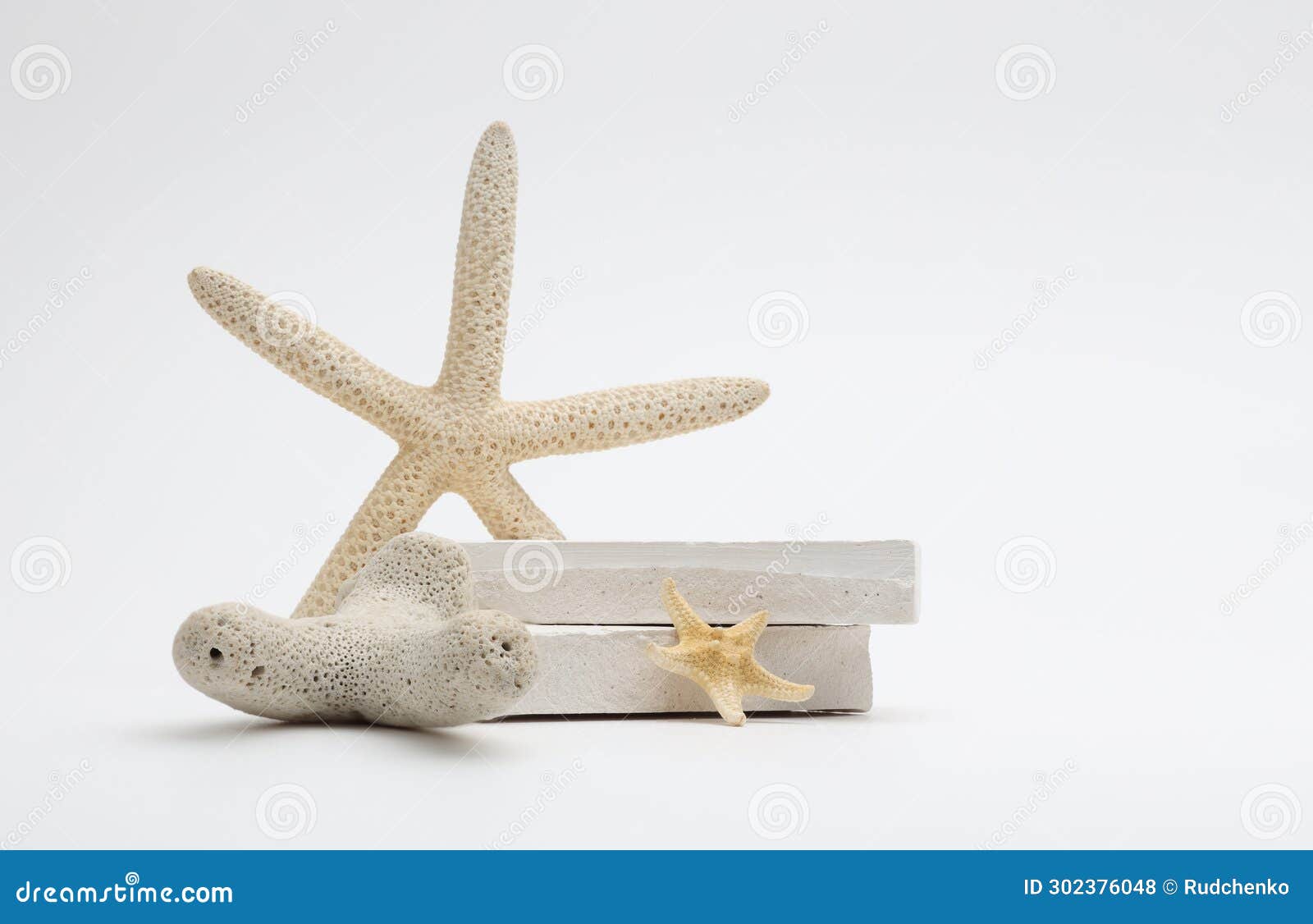 Stack Stones Platform Podium, Starfish, Coral on Gray Light Copy Spase ...