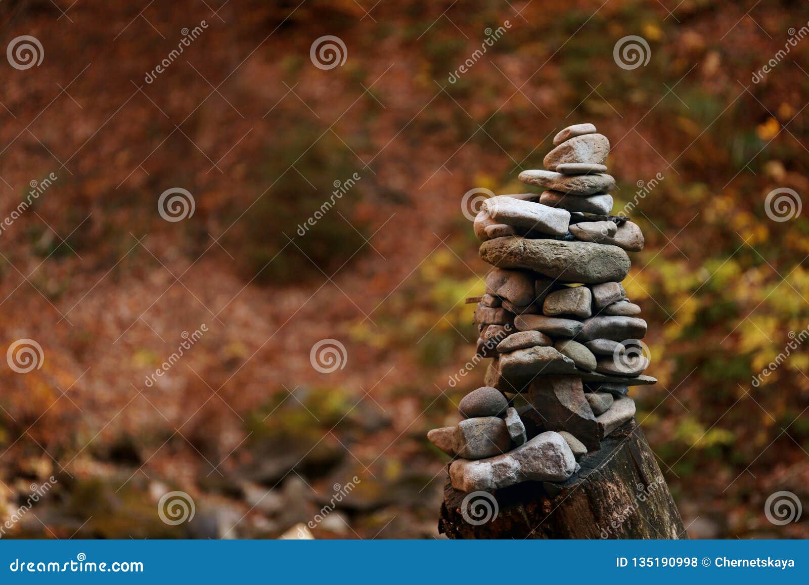 Stack of Stones on Tree Stump in Forest. Stock Photo - Image of perfect ...