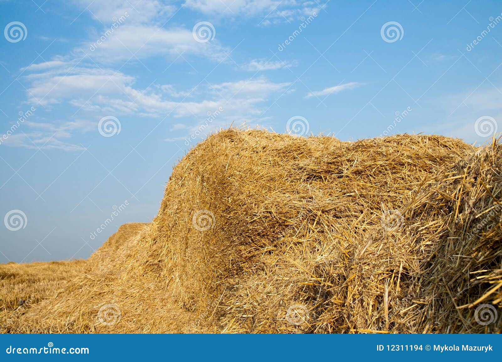Stack of straw stock photo. Image of group, agriculture - 12311194