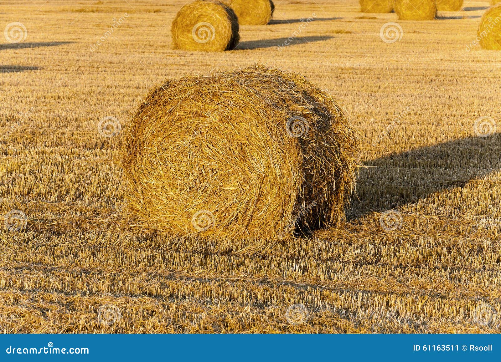 Stack of straw stock image. Image of heap, landscape - 61163511