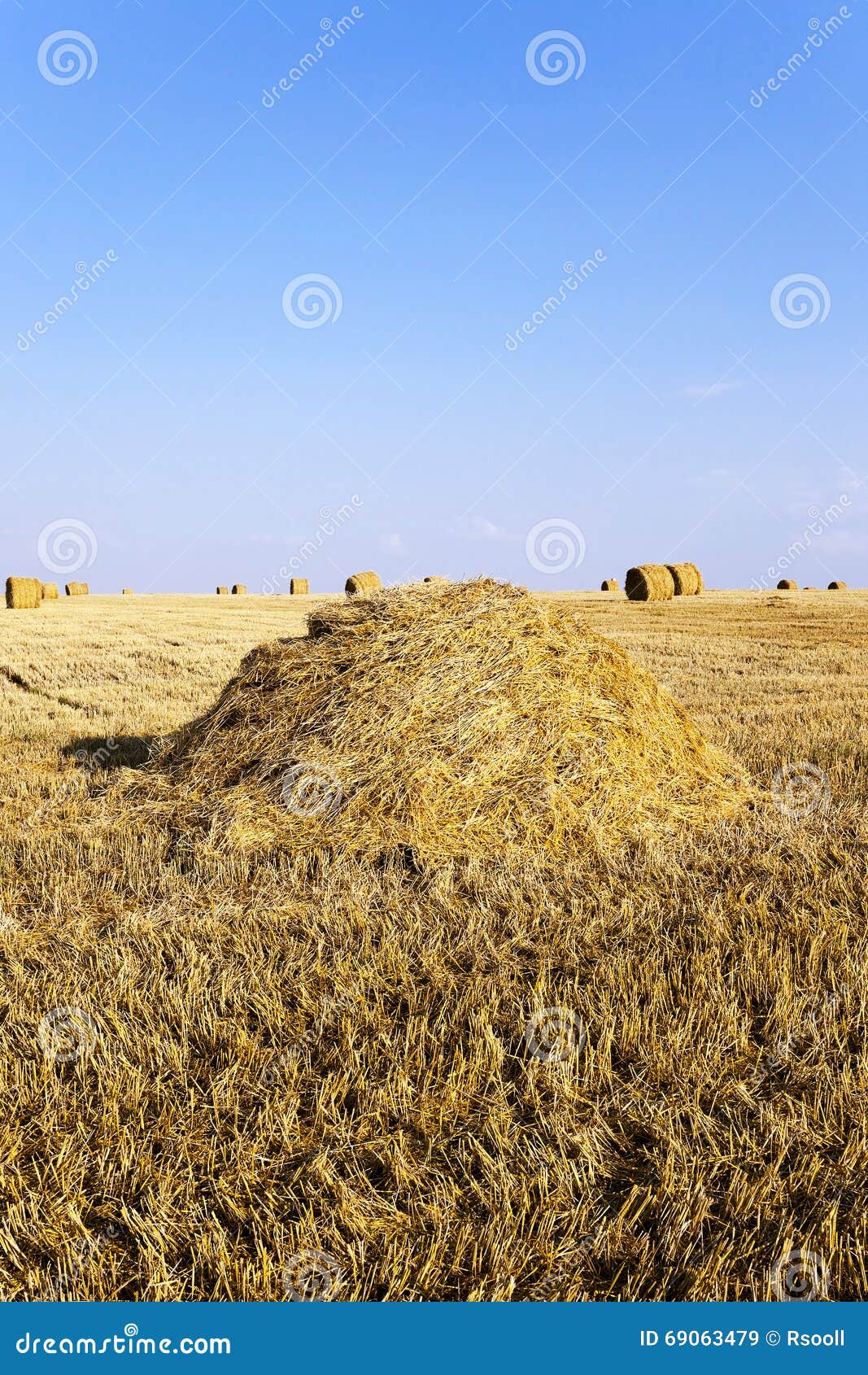 Stack of straw stock image. Image of cutting, forage - 69063479
