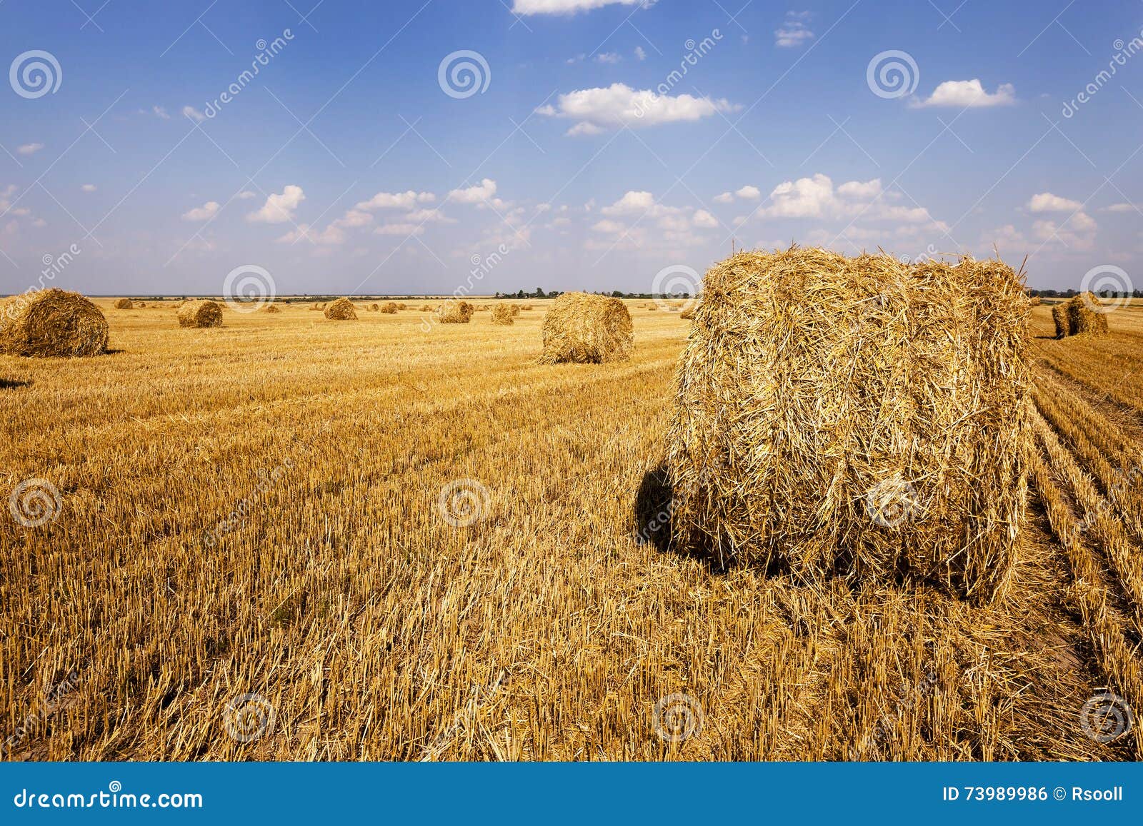 Stack of straw stock photo. Image of farm, hill, frame - 73989986