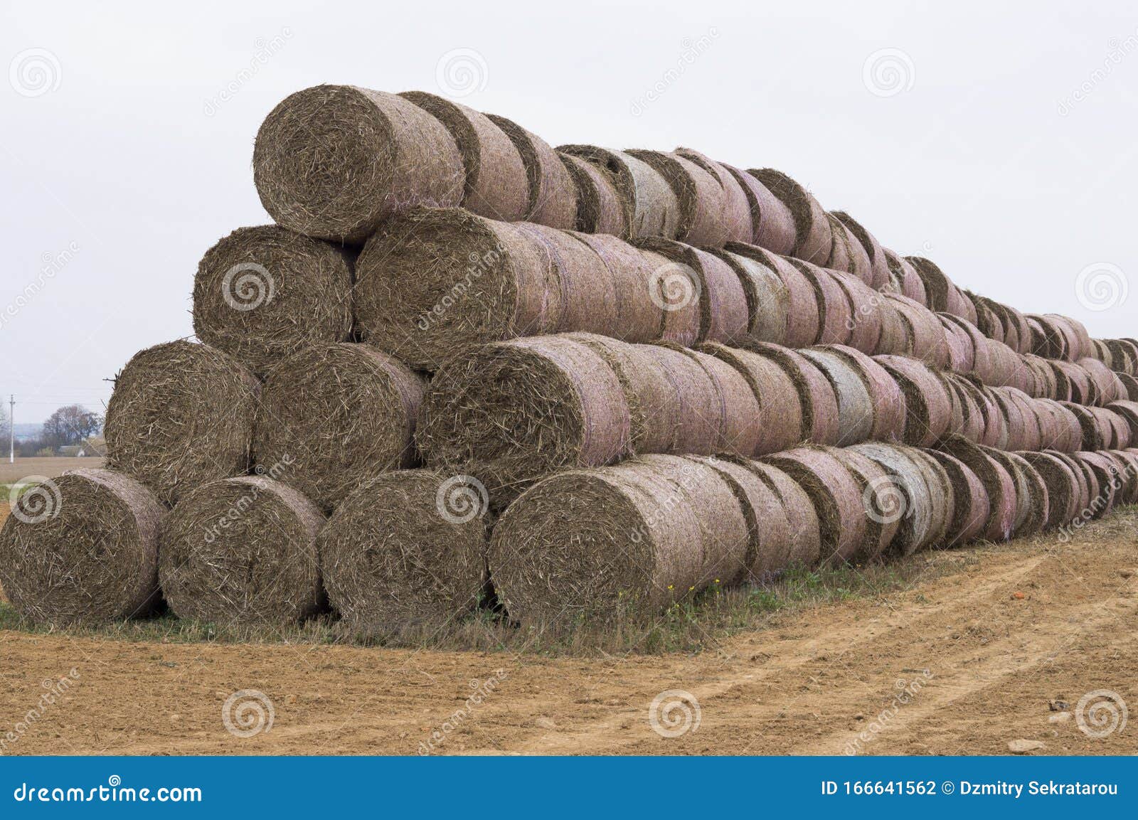 Stack of Straw Bales Circular Shape Stock Photo - Image of autumn ...