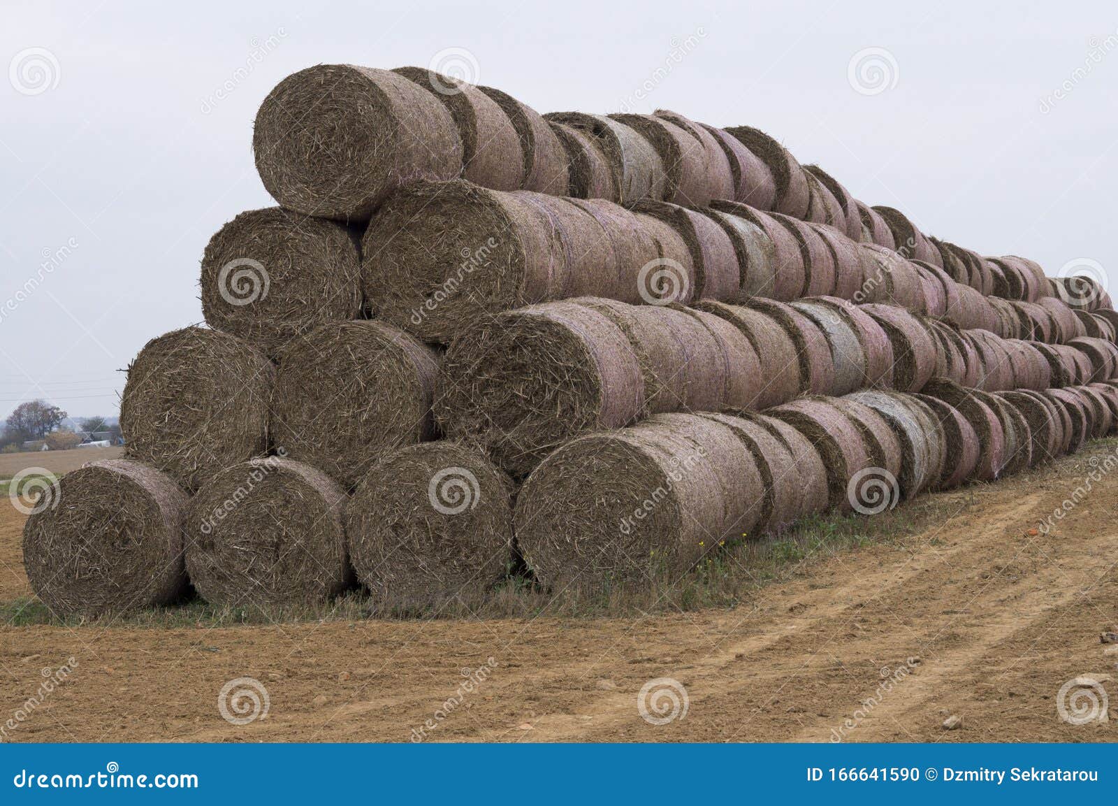 Stack of Straw Bales Circular Shape Stock Photo - Image of natural ...