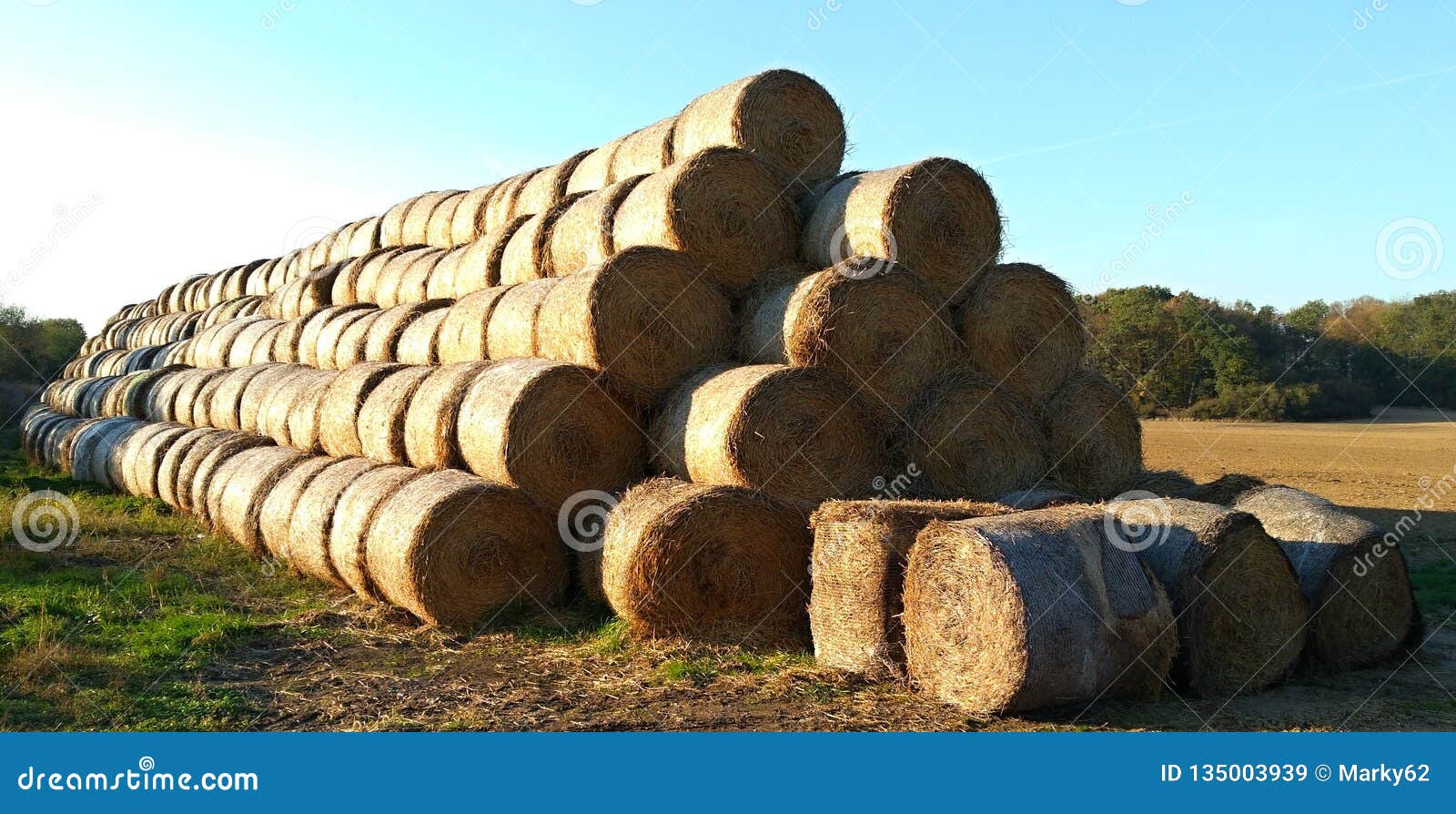 Stack of straw bales stock image. Image of crop, field - 135003939