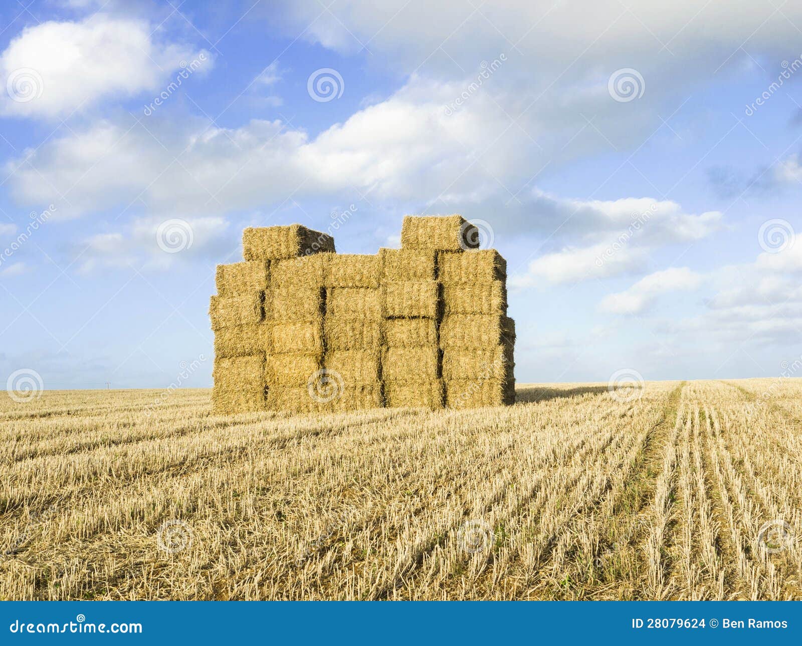 Stack of Straw Bales in Field Stock Photo - Image of pile, rural: 28079624