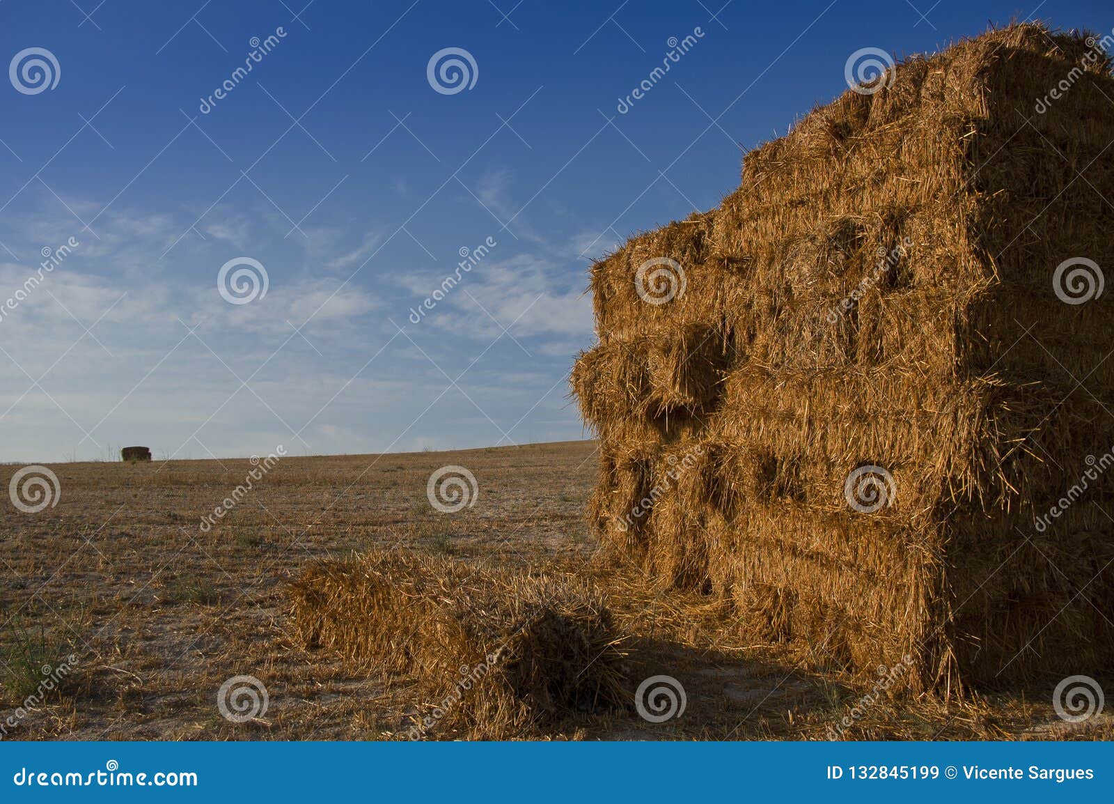 Stack of Straw Bales in the Harvested Field Stock Image - Image of ...