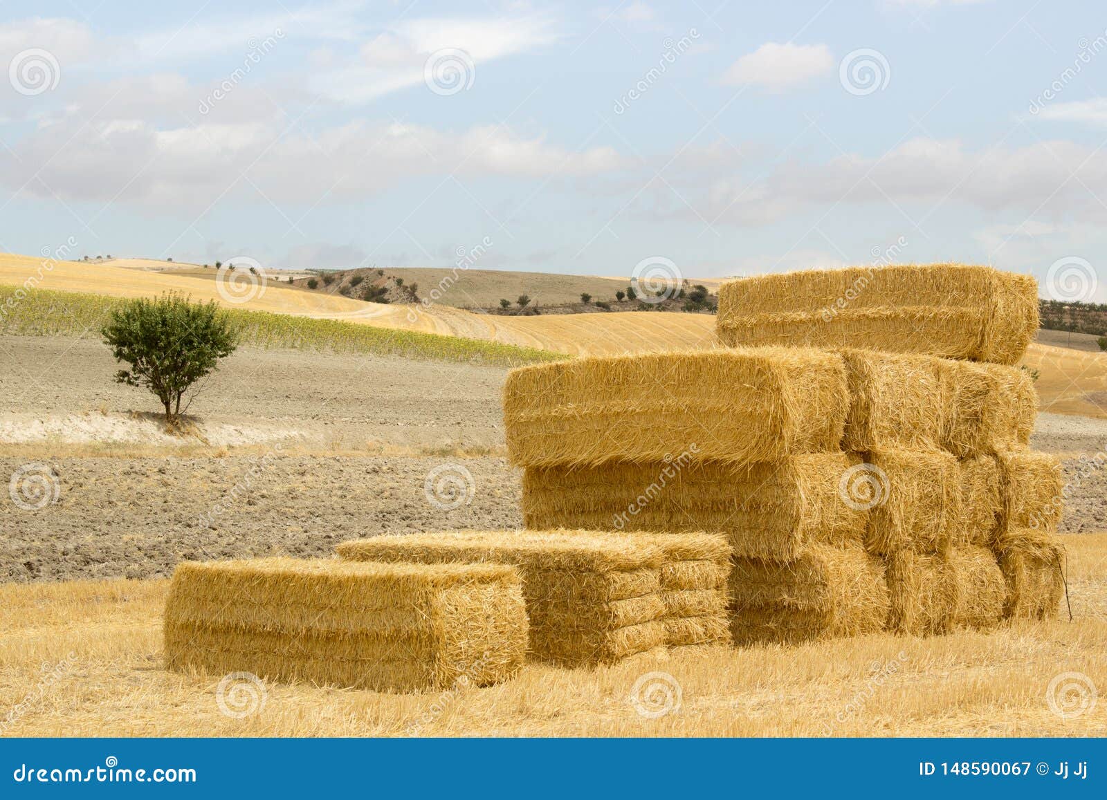 Stack of straw bales stock image. Image of farmer, agricultural - 148590067