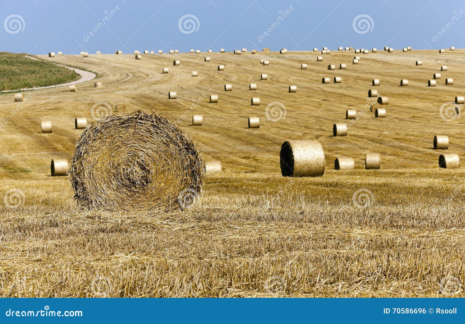 Stack of Straw in the Field Stock Photo - Image of collection, field ...