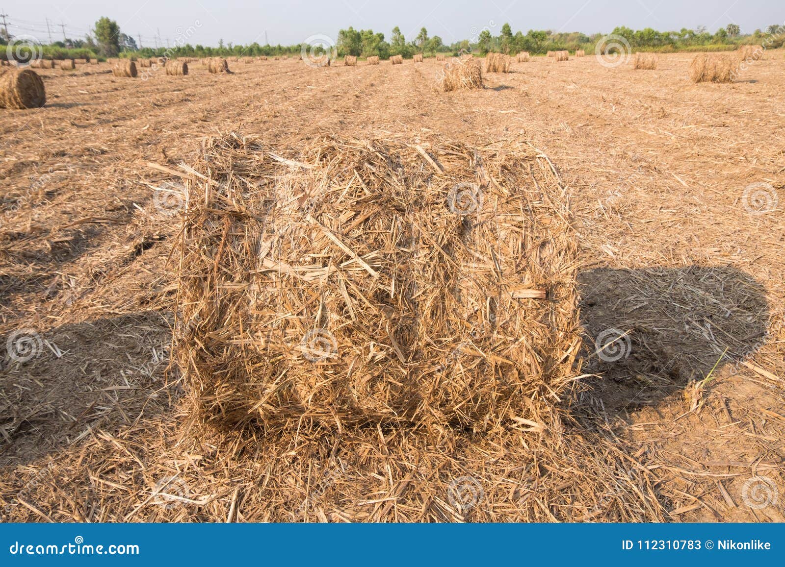Stack of Straw in the Field. Stock Image - Image of agricultural, cloud ...