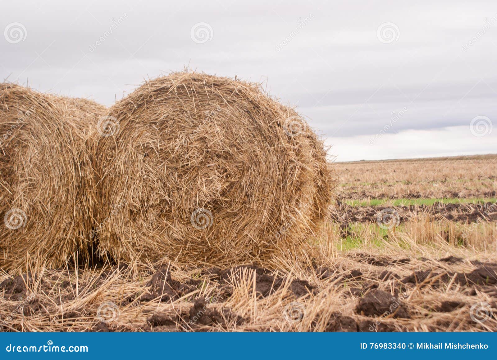 Stack of Straw in the Field Stock Photo - Image of outdoor, field: 76983340