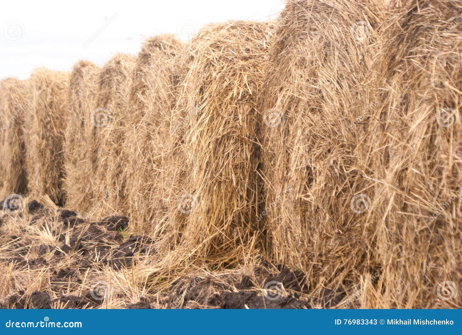 Stack of Straw in the Field Stock Image - Image of land, country: 76983343