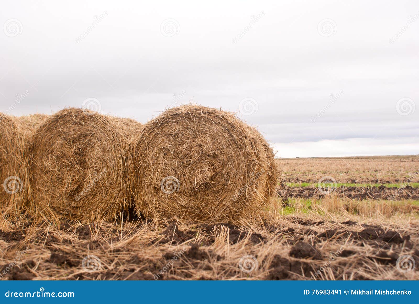 Stack of Straw in the Field Stock Image - Image of land, farming: 76983491