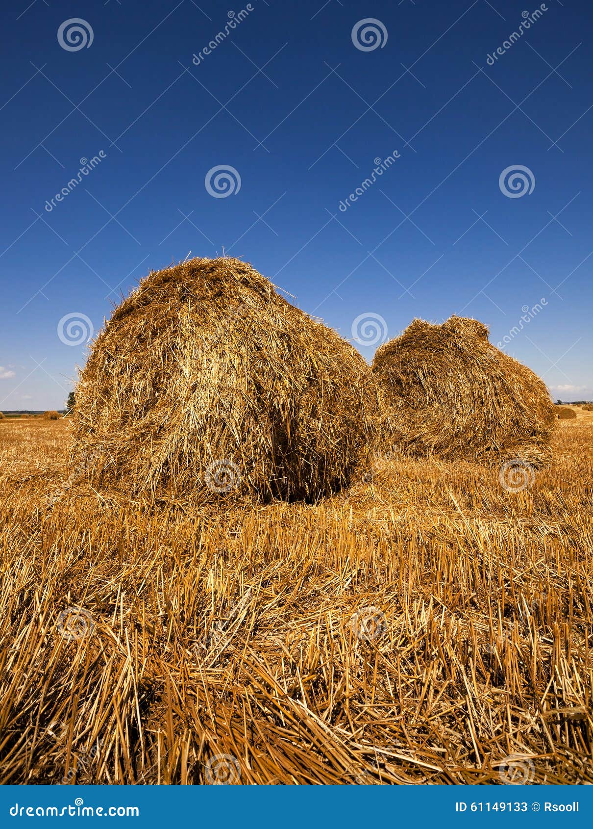 Stack of Straw in the Field Stock Image - Image of harvesting, growth ...