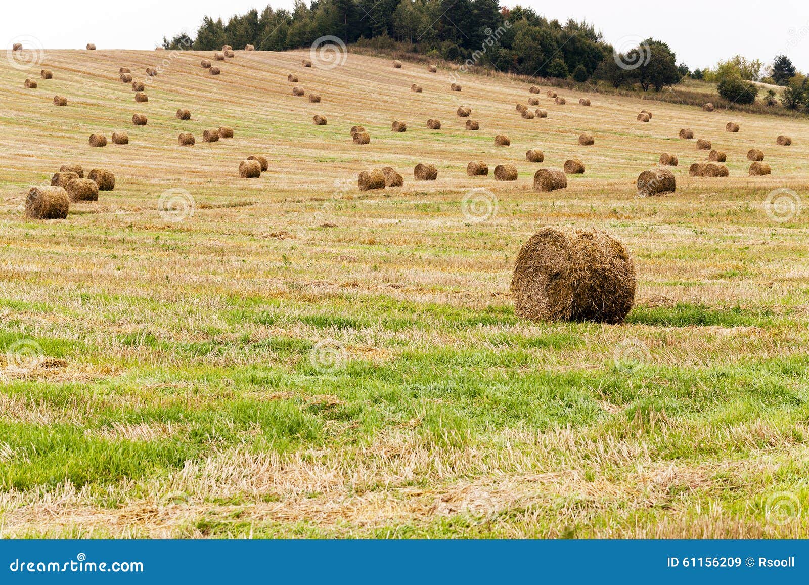 Stack of Straw in the Field Stock Image - Image of heap, hayfield: 61156209