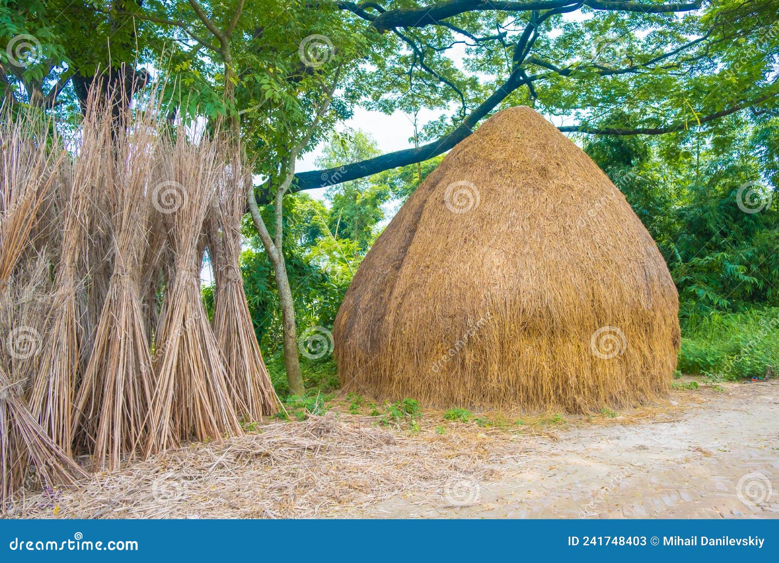 Stack of Straw after Harvest on the Side of a Country Road. Dry ...