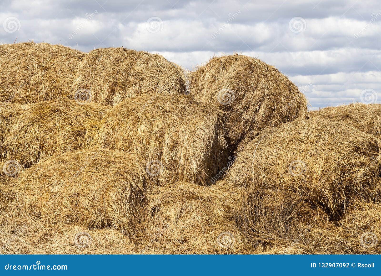 Stack of straw stock photo. Image of nature, food, view - 132907092