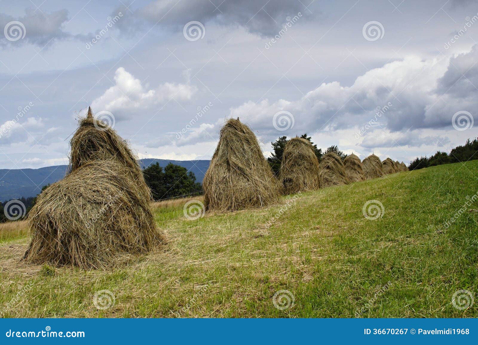 Stack of straw stock image. Image of nature, landscape - 36670267
