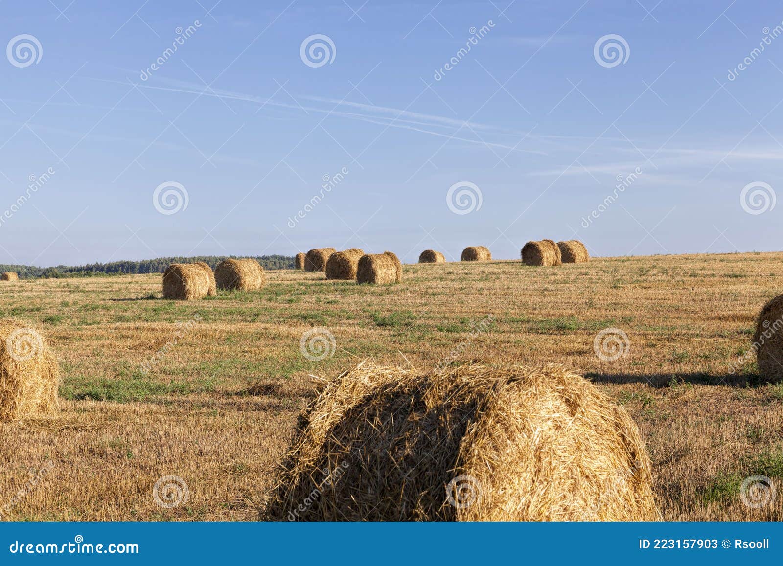 A stack of straw stock image. Image of profit, agriculture - 223157903