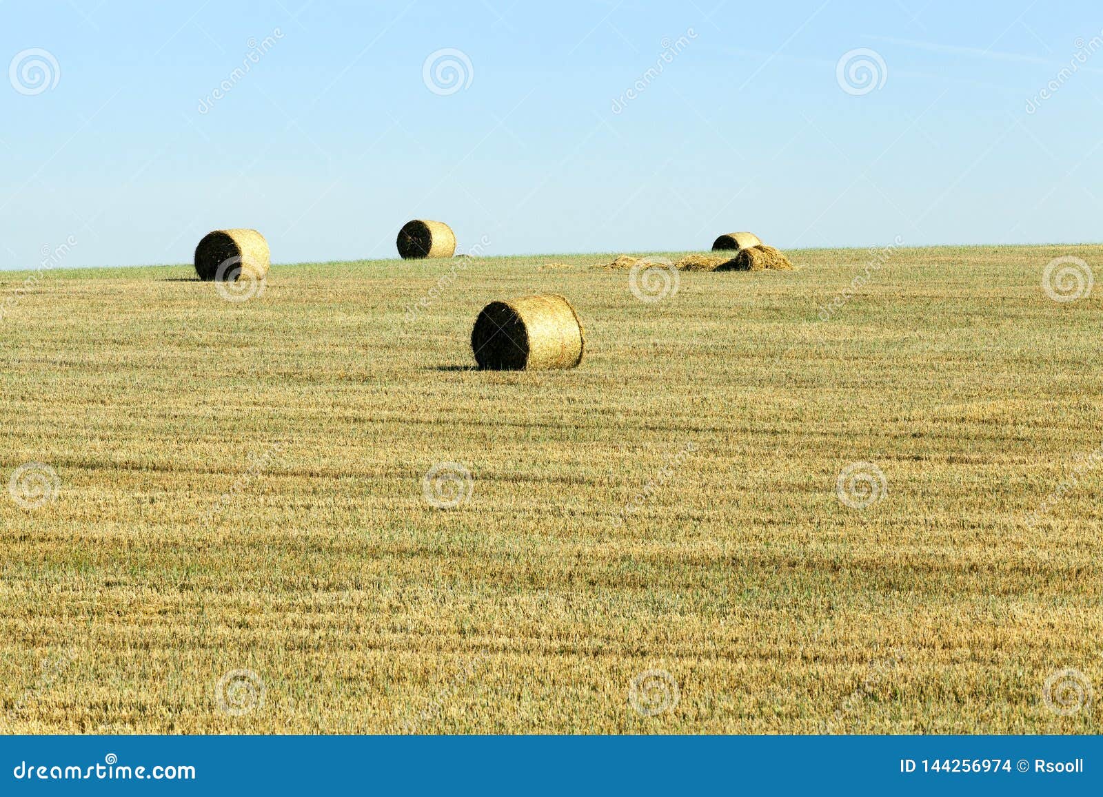Stack of straw stock photo. Image of european, long - 144256974