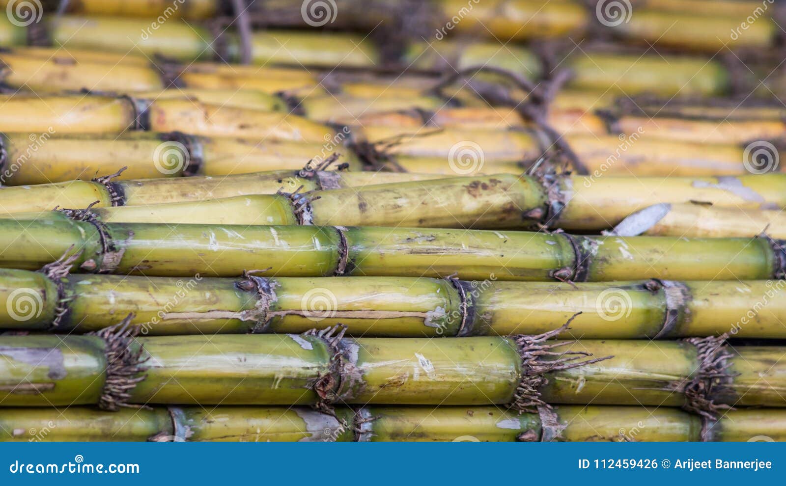A Stack of Sugar Cane Exposing the Texture of the Stem Stock Photo ...