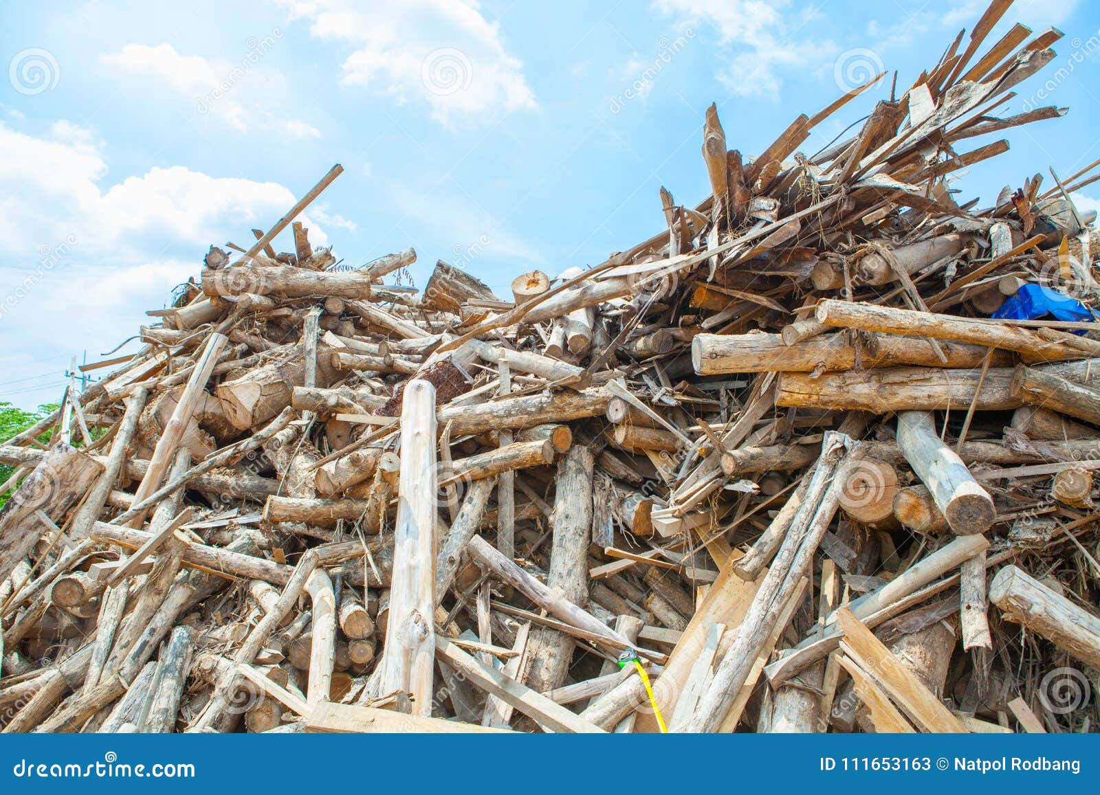 Stack of teak wood log stock image. Image of yard, softwood - 111653163