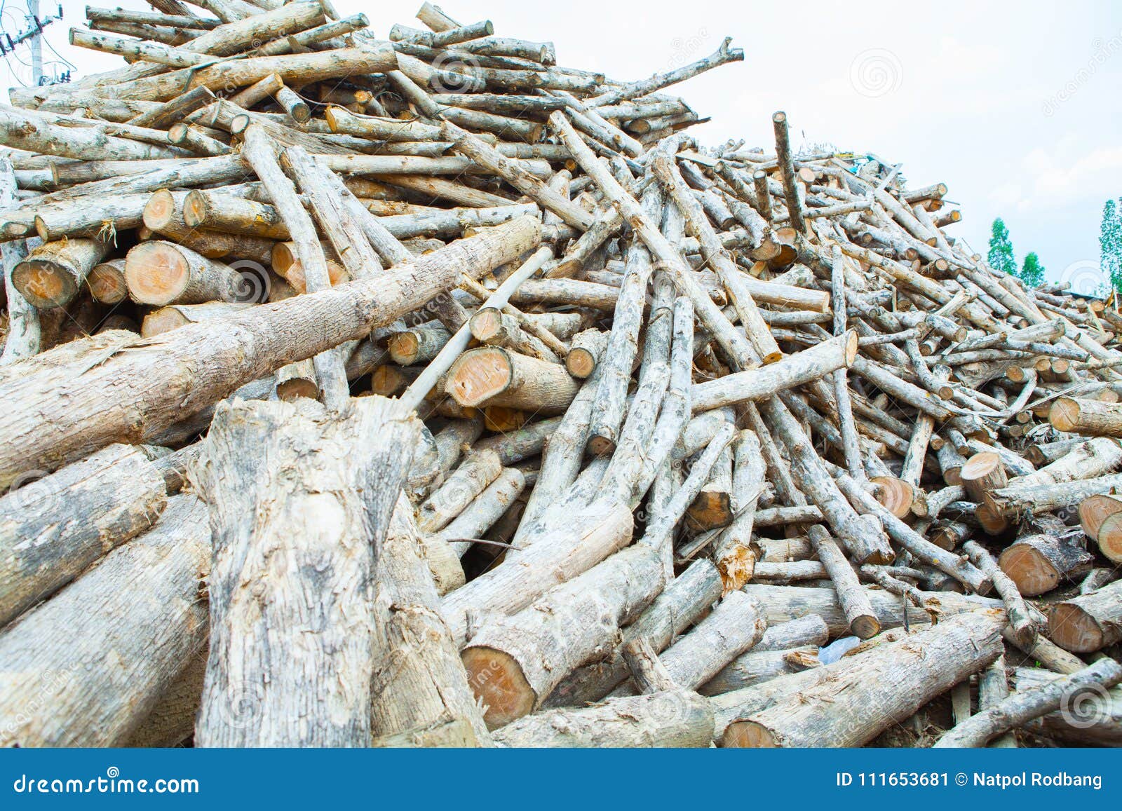 Stack Of Teak Wood Log Royalty-Free Stock Photo | CartoonDealer.com ...