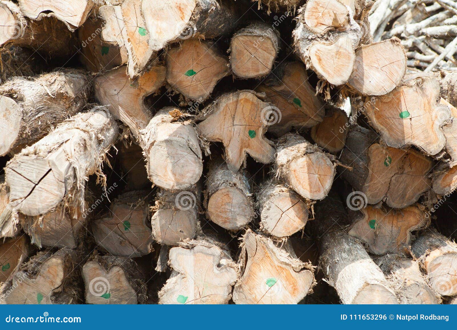 Stack of teak wood log stock photo. Image of stack, wall - 111653296