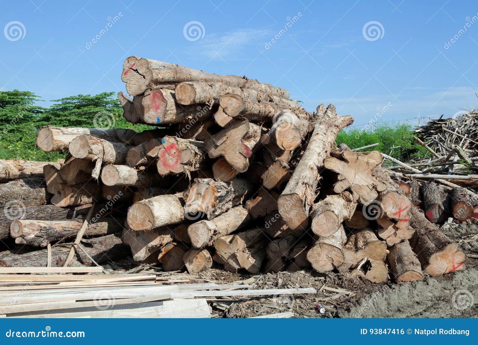 Stack of teak wood log stock photo. Image of arrangement - 93847416