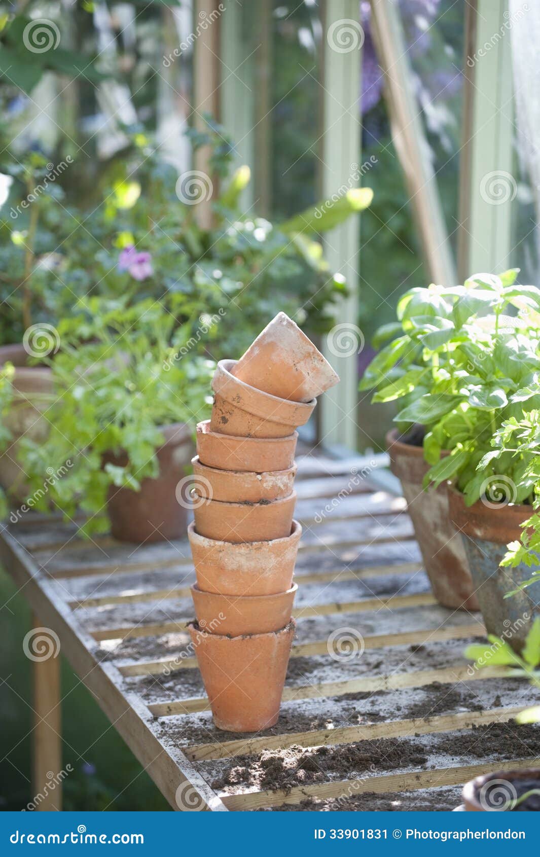 Stack of Terracotta Flowerpots in Greenhouse Stock Image - Image of ...