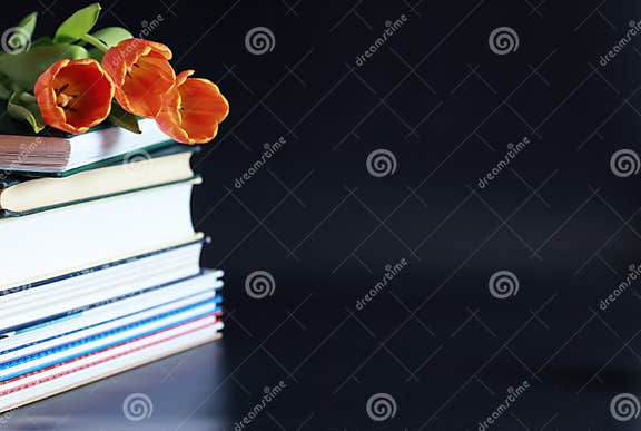 A Stack of Textbooks and Books on the Table. the Concept of Knowledge ...