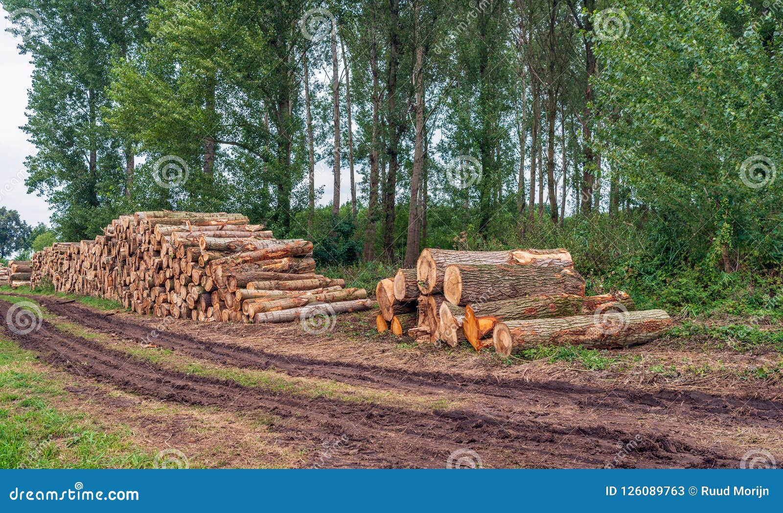 Xyplorer preview tree stack - gmmzaer