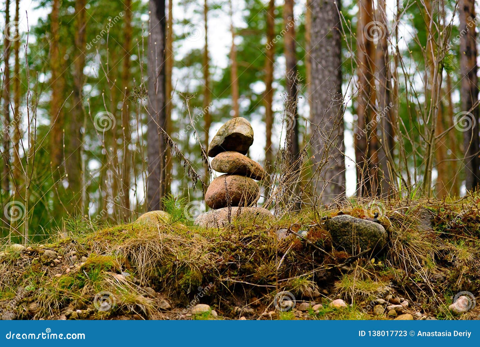 A Stack of Three Stones in the Forest among the Trees Stock Image ...