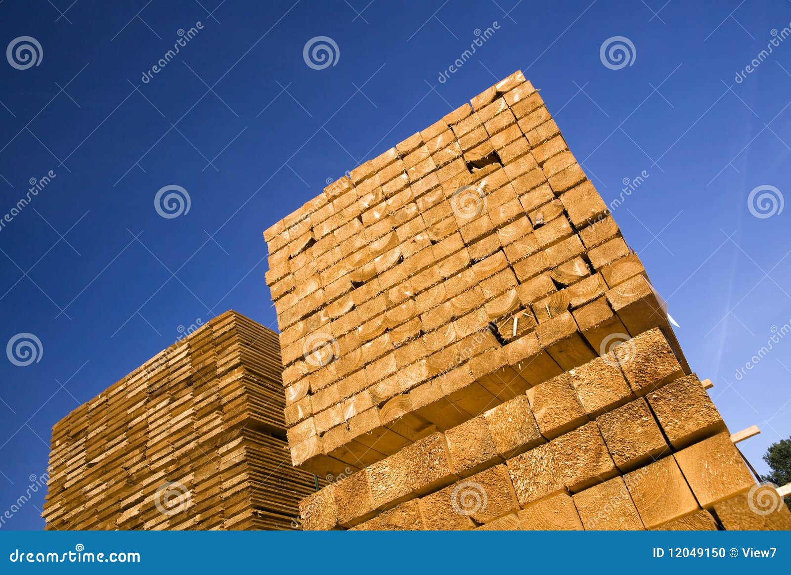 Stack of timber stock photo. Image of wood, stack, outdoors - 12049150