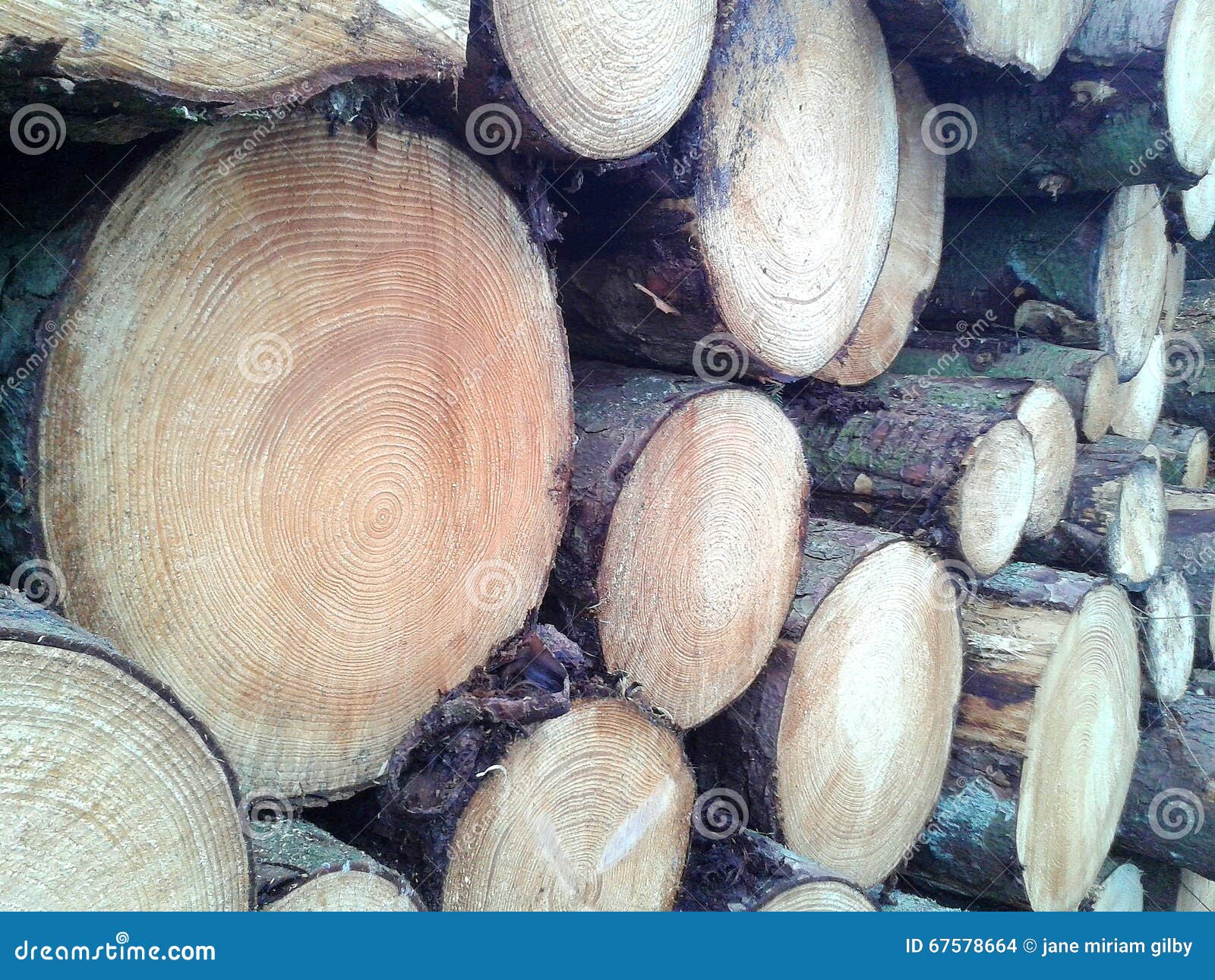 Stack of Timber, Background Stock Photo - Image of background, timber ...