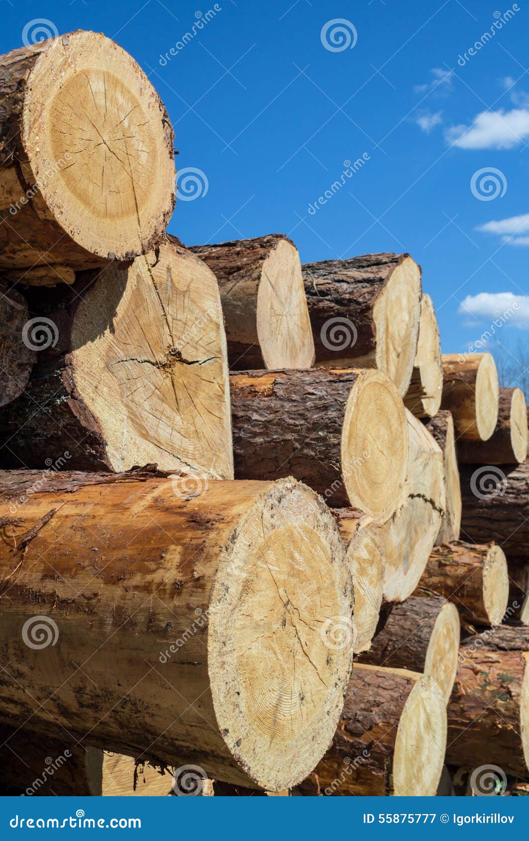 Stack of Timber on Blue Sky Background Stock Image - Image of ...